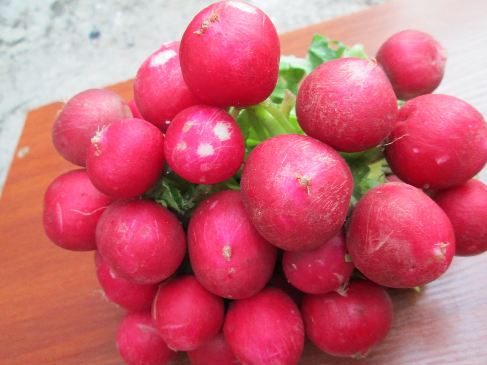 Adolescentii de azi: 10 curiozități despre ridiche