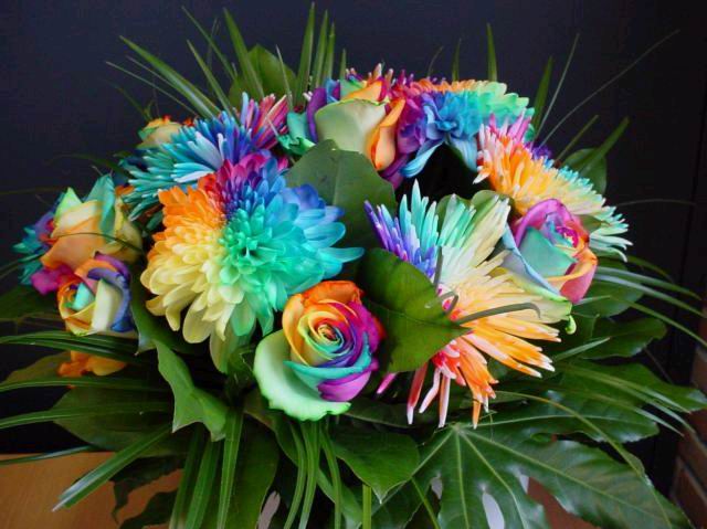 Beautiful and Colorful Flowers... ~ beautyway2life