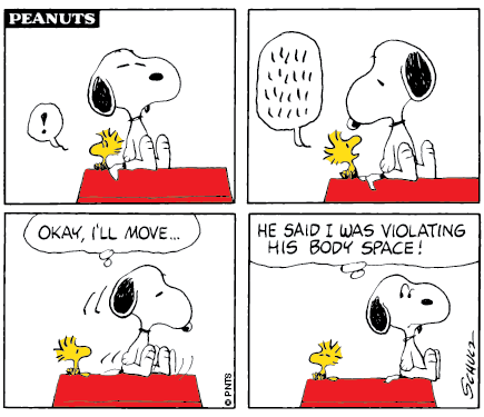 Reported Speech (4th Secondary) | Carmen María's English Blog