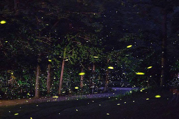 MAGICK RIVER: 5/18/14 - 5/25/14