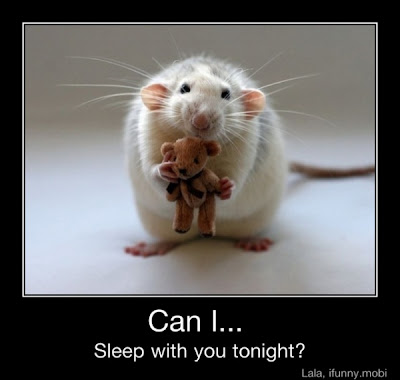 funny wallpapers-hd wallpapers-Desktop wallpapers: really funny stuff