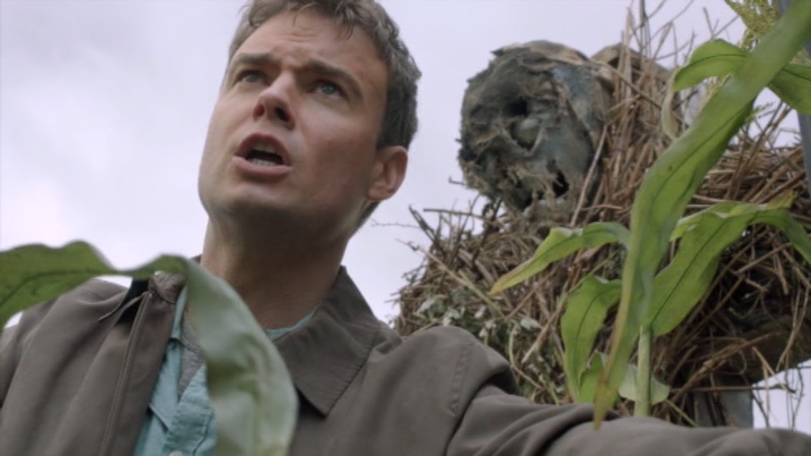 HORROR FOREVER: POLE STRACHU / SCARECROW (2013)