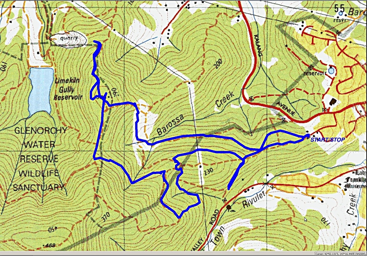 Ramblings: From Lumeah Ave - Lenah Valley 2016