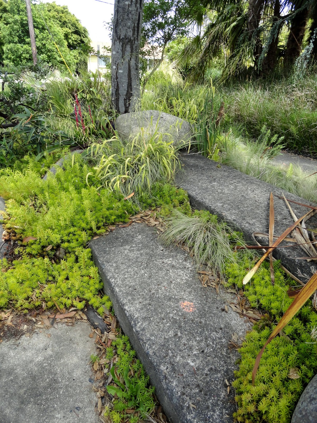 danger garden: A return to Jungle Fever