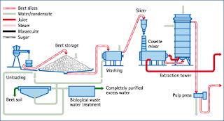 Mr. Windu dot Com: Sugar Processing from Sugar Cane and The Derivative ...