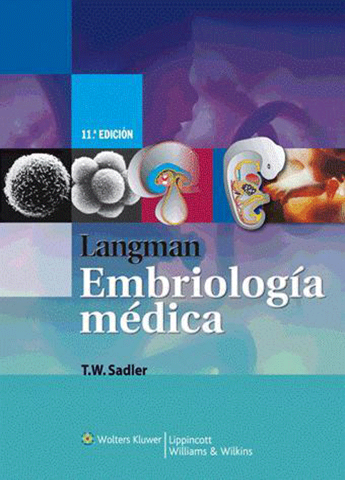 LIBROS de MEDICINA GRATIS: Embriología