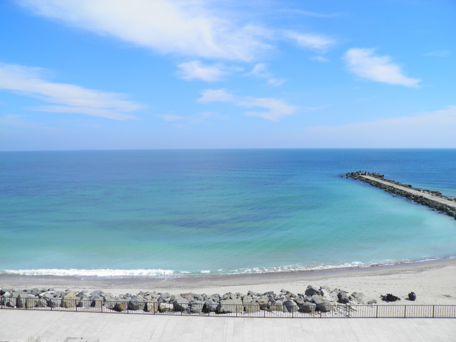 PASARI DIN ROMANIA: CODROS DE MUNTE (2), Phoenicurus ochruros