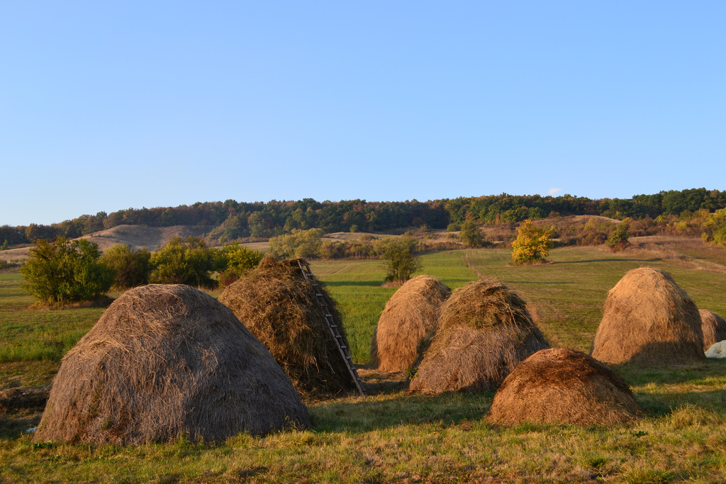 Megigazulni a bűntől