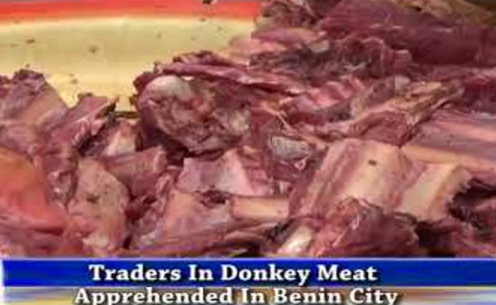 6 Meat Sellers Arrested For Selling Donkey Meat, Jaki At Oka Market In ...