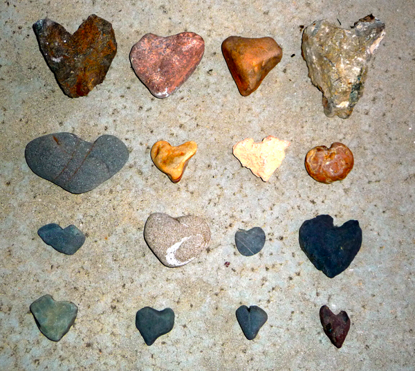 Mrs. Yollis' Classroom Blog: Our Collectors' Collections!