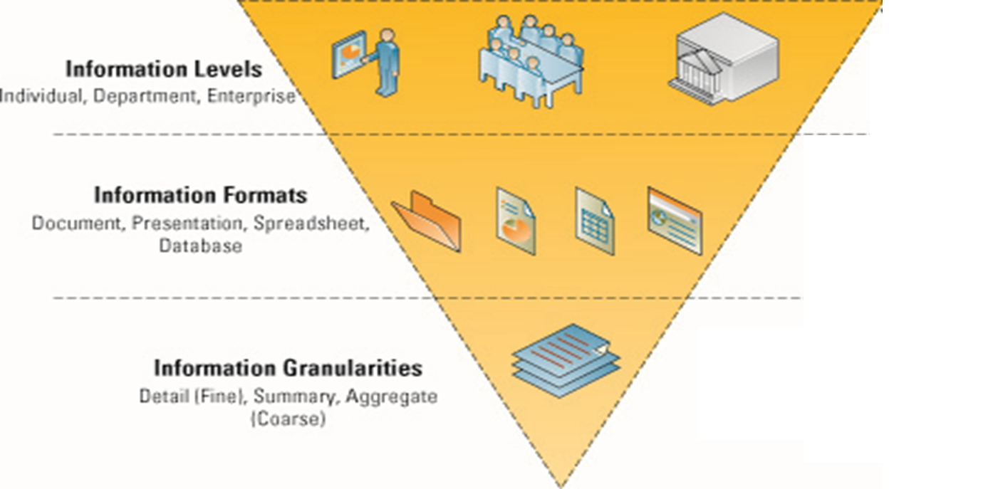 MGT 300: CHAPTER 6: VALUING ORGANIZATIONAL INFORMATION