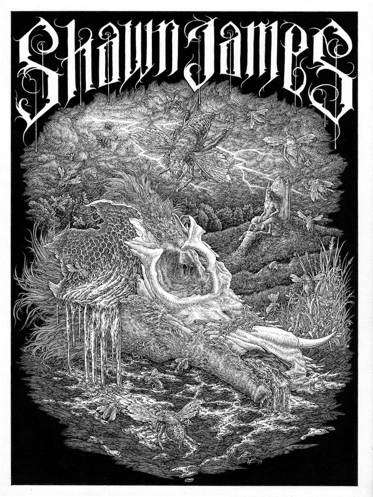 Lucas Ruggieri Illustration