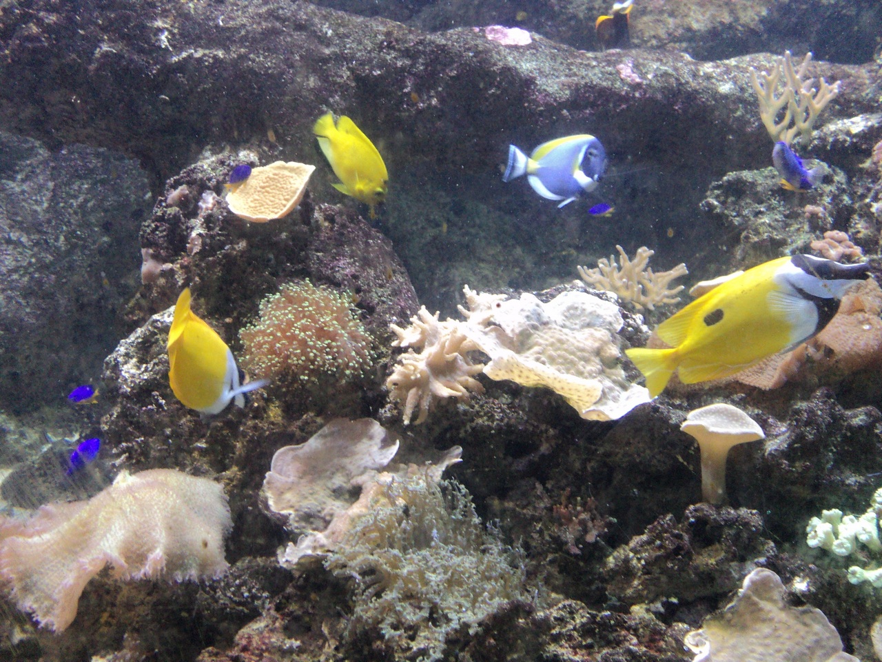 Maytree Nursery and Infant School Blog: May 2012