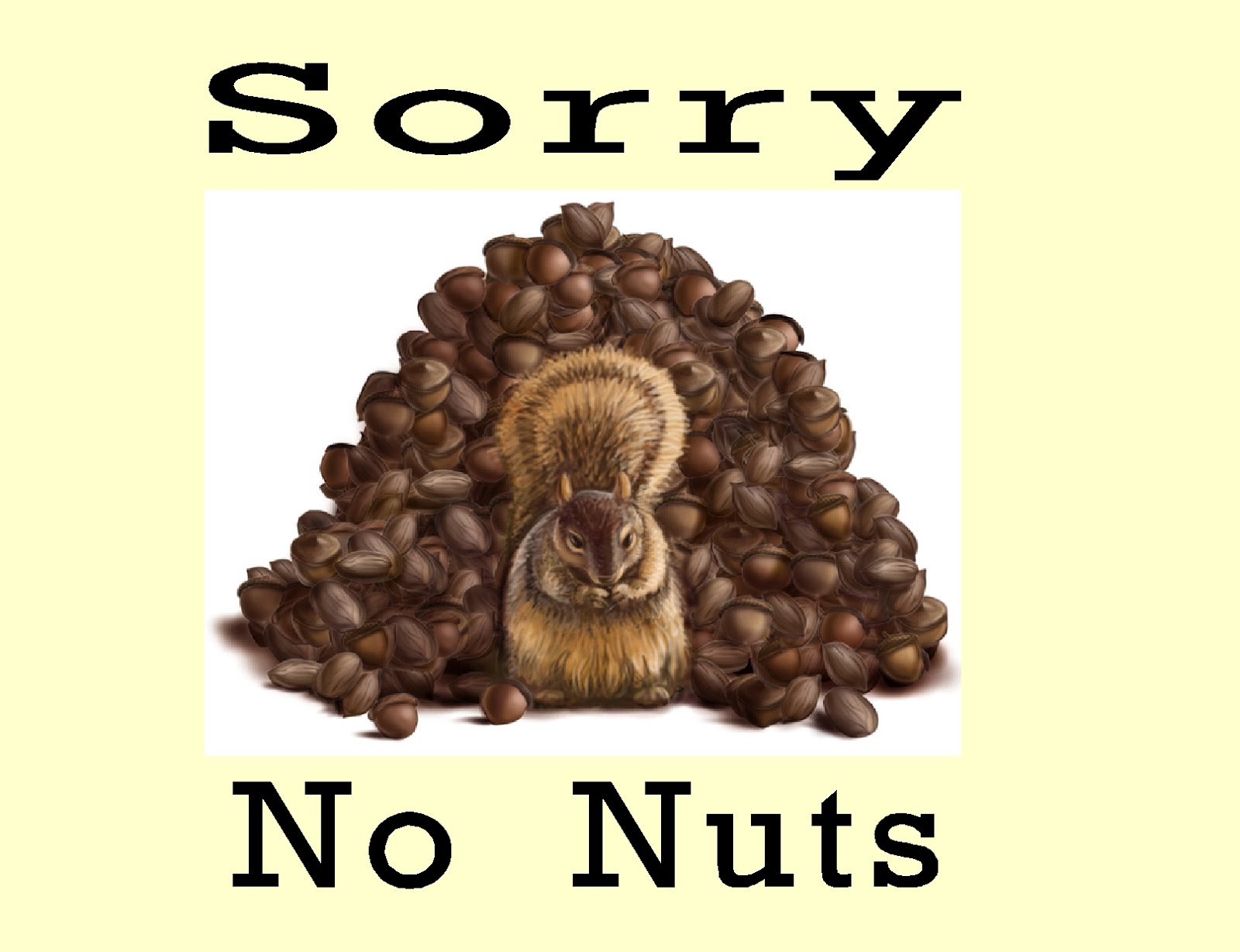 Free Posters and Signs: Sorry No Nuts