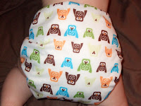 Brookie's Baby Bargains: Thirsties Duo Diaper - Review & Giveaway Ends ...