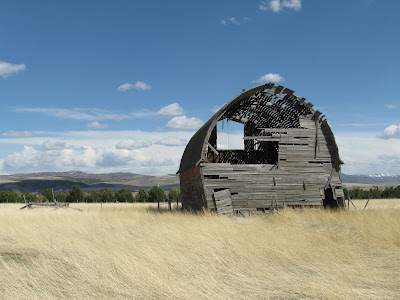 Ogden Insights: Things To Do In Idaho: Wolverine Canyon and Forty Horse ...