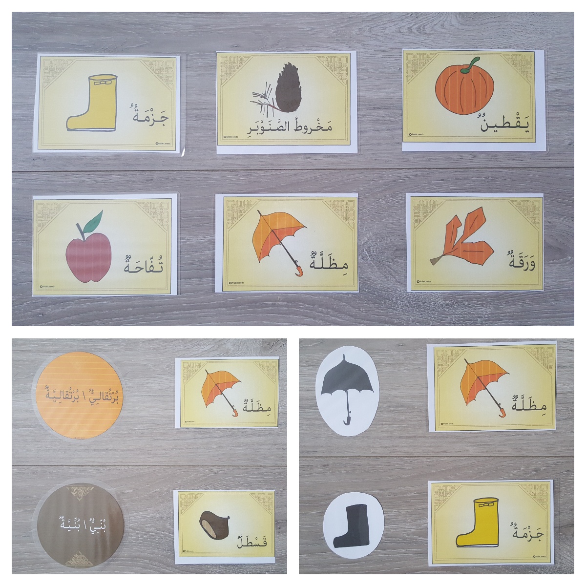 Arabic Seeds Language Resources Fall Bundle Review | Multicultural ...