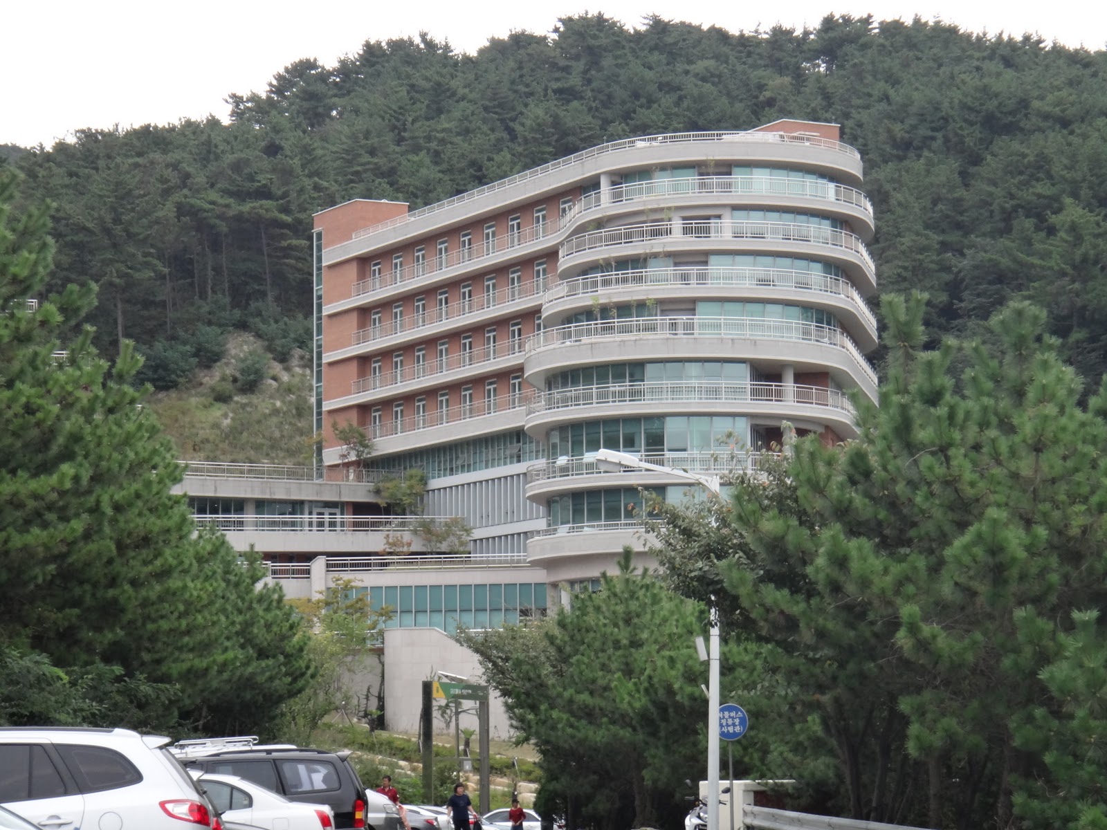 Kimchi Land Chronicles: Arrival in Silla University