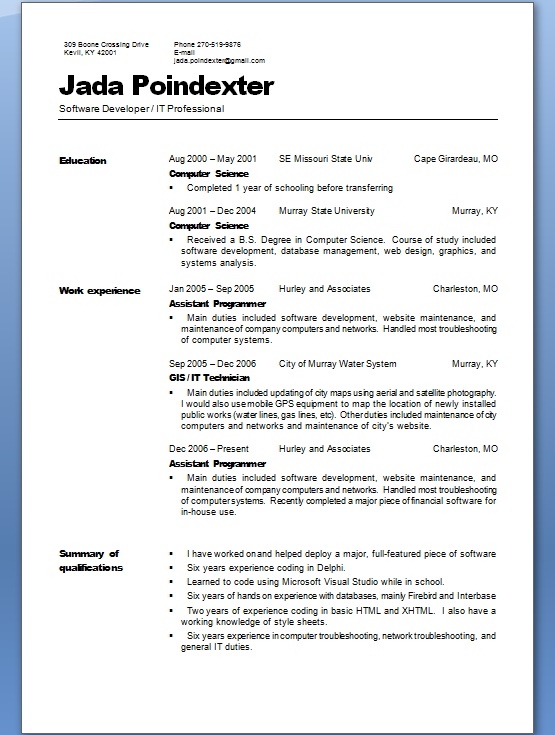 IT Professional Sample Resume Format in Word Free Download
