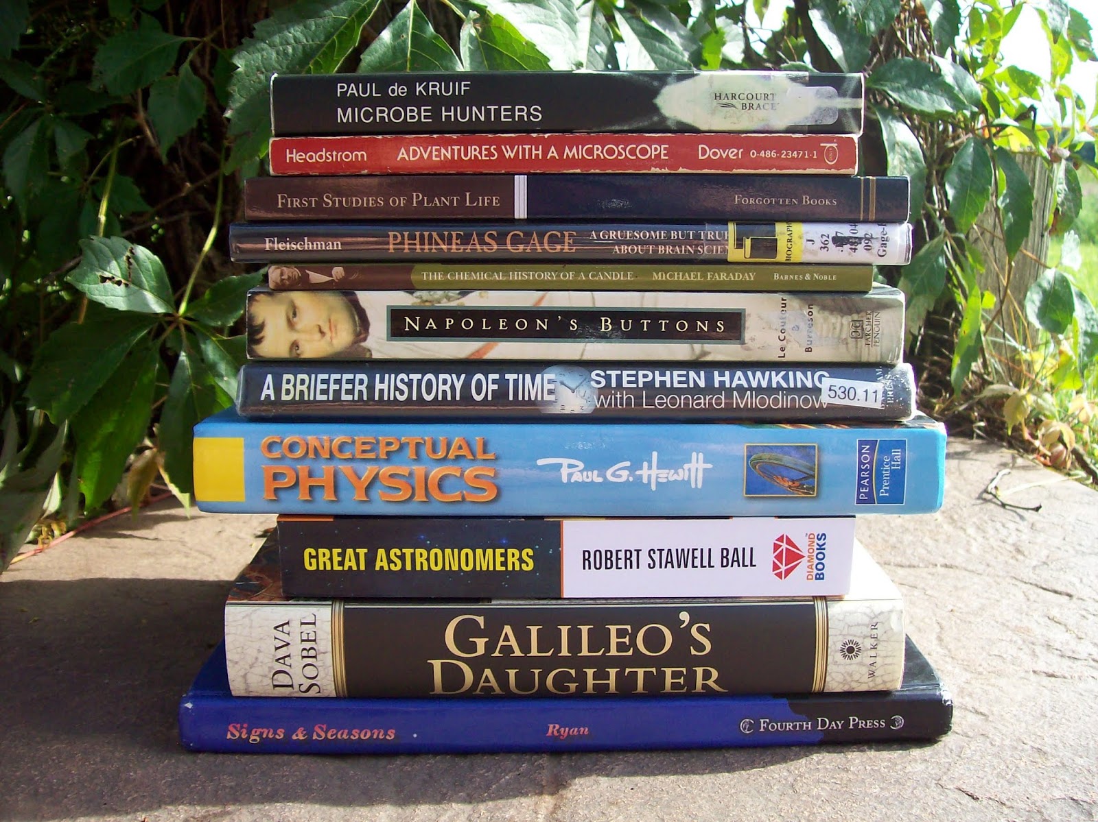 Reflections from Drywood Creek: High School Science Planning....