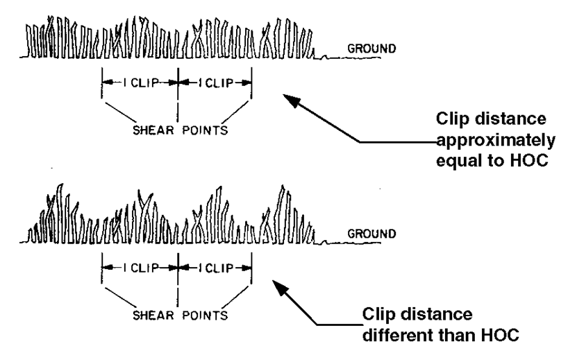 MTI Service : What is Clip?