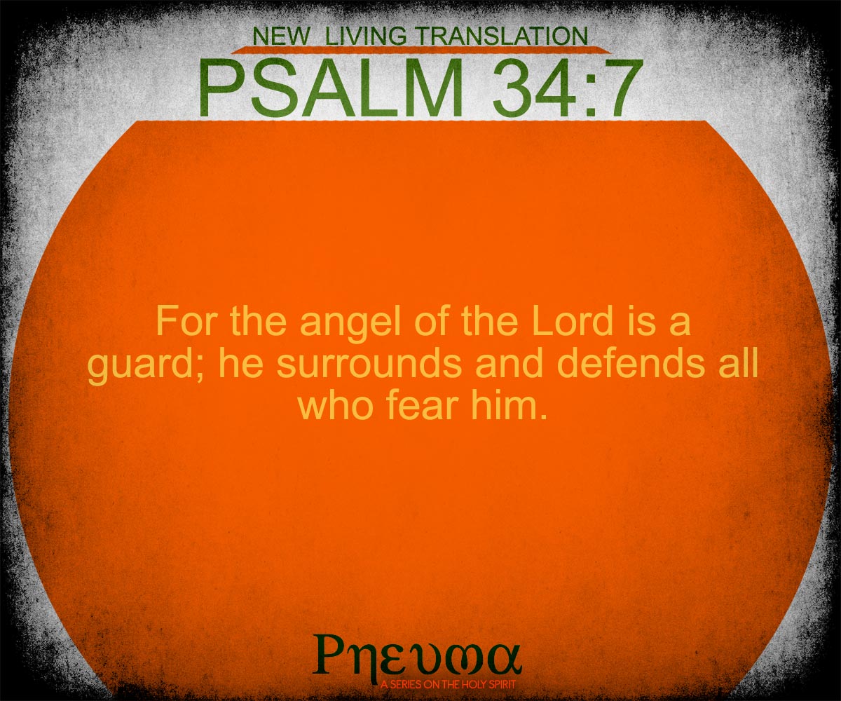 ELEVATION: The Fear of the Lord