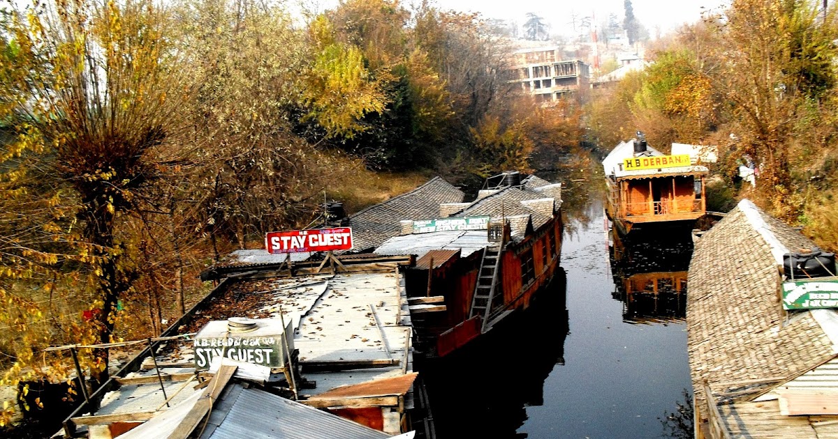 CHINAR SHADE : HAANJIS OF KASHMIR BELONG TO ANCIENT NISHADA TRIBE OF ...