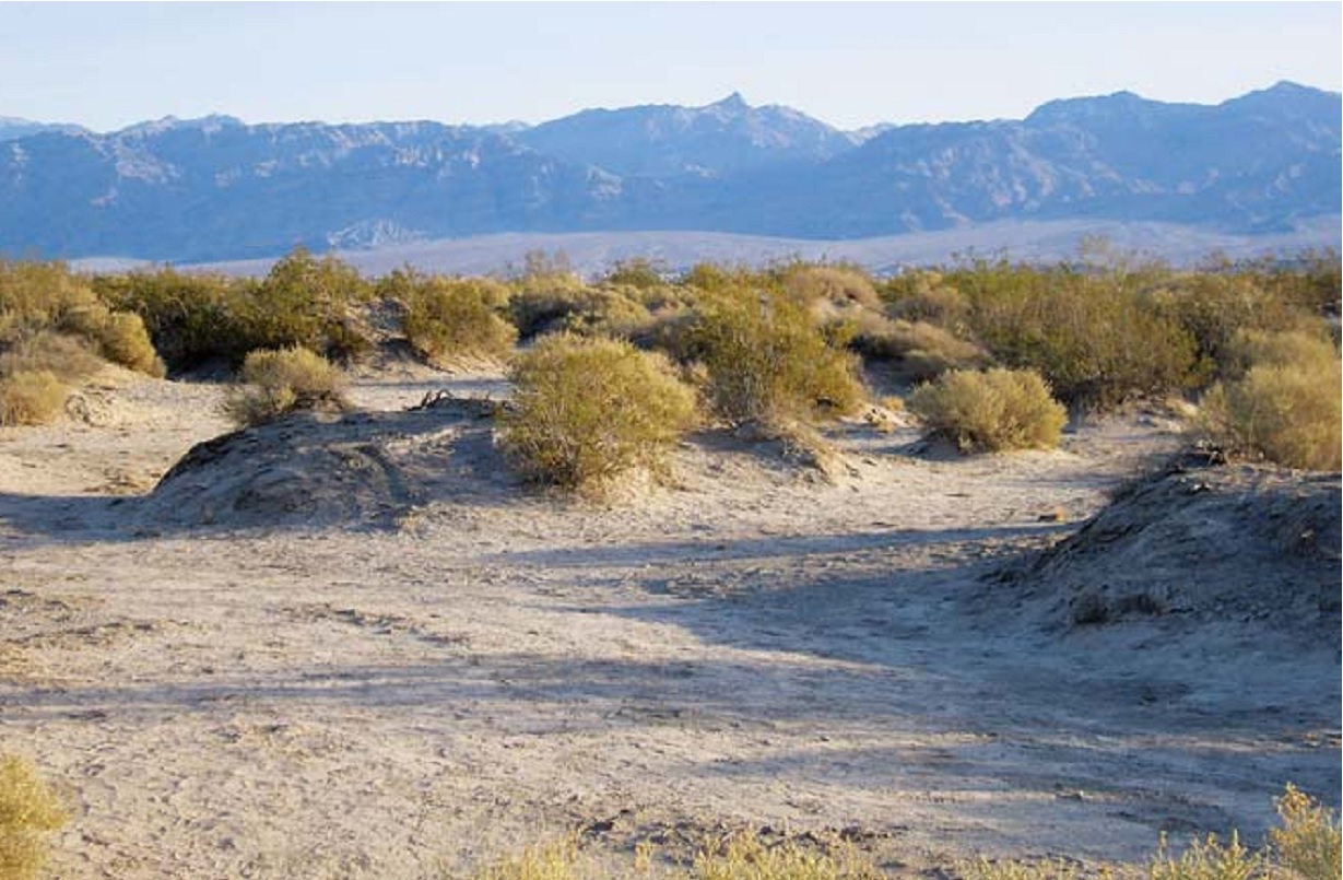 Learning Geology: Weathering and Erosional Processes in Deserts