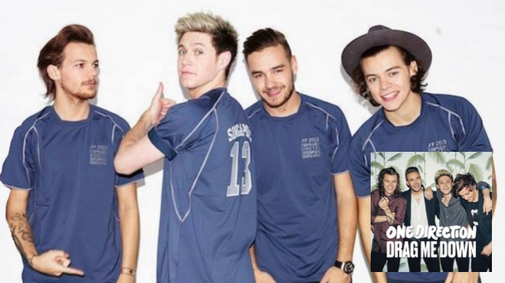 The Record Blog: Single Review | One Direction - Drag Me Down