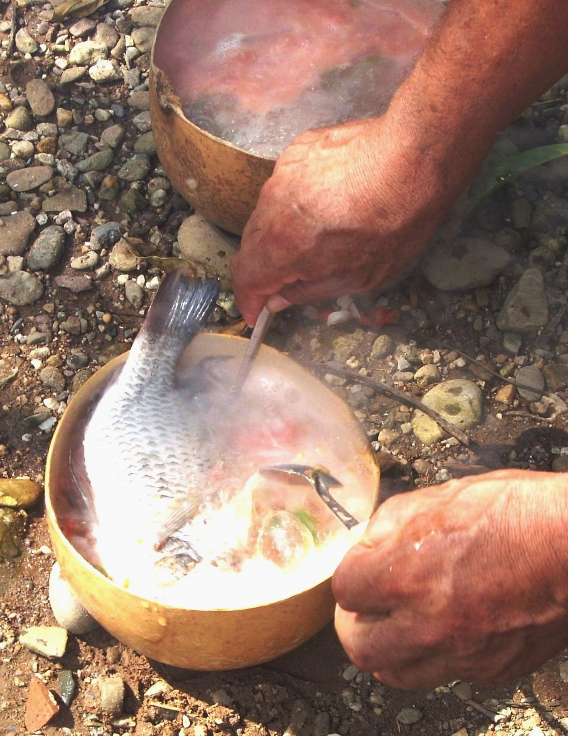 cultura chinalteca: Cocina chinanteca