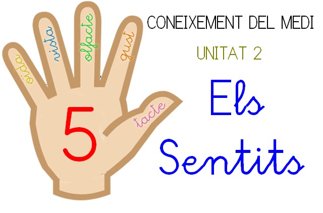 3r PRIMÀRIA 12/13 - CEIP CAN COIX: Els sentits