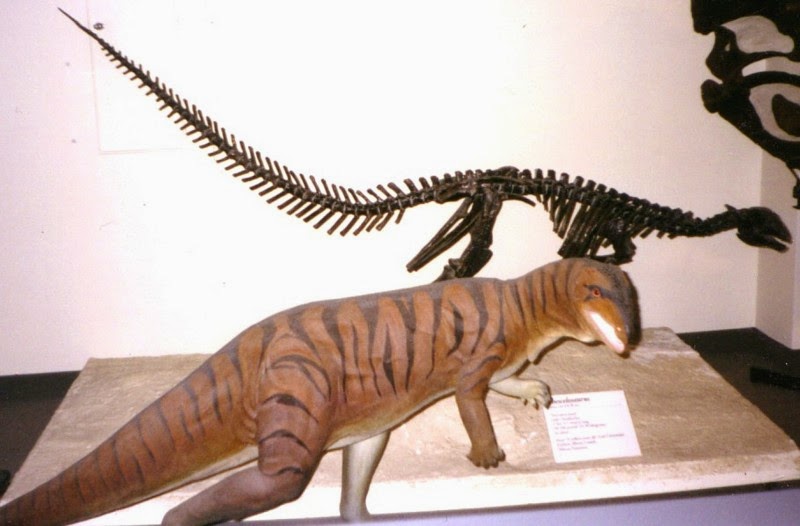 Equatorial Minnesota: Thescelosaurus: hello old friend