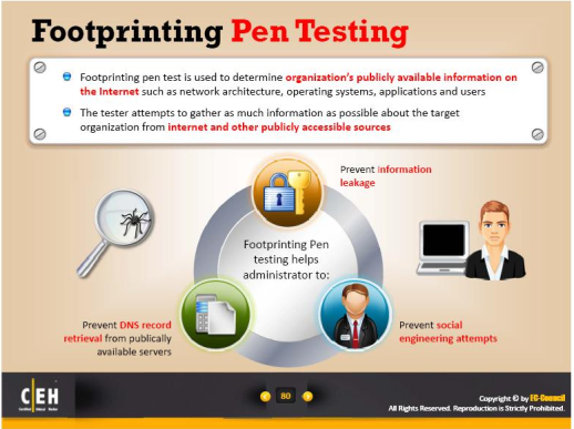 FOOTPRINTING - VEDENA CACTUS