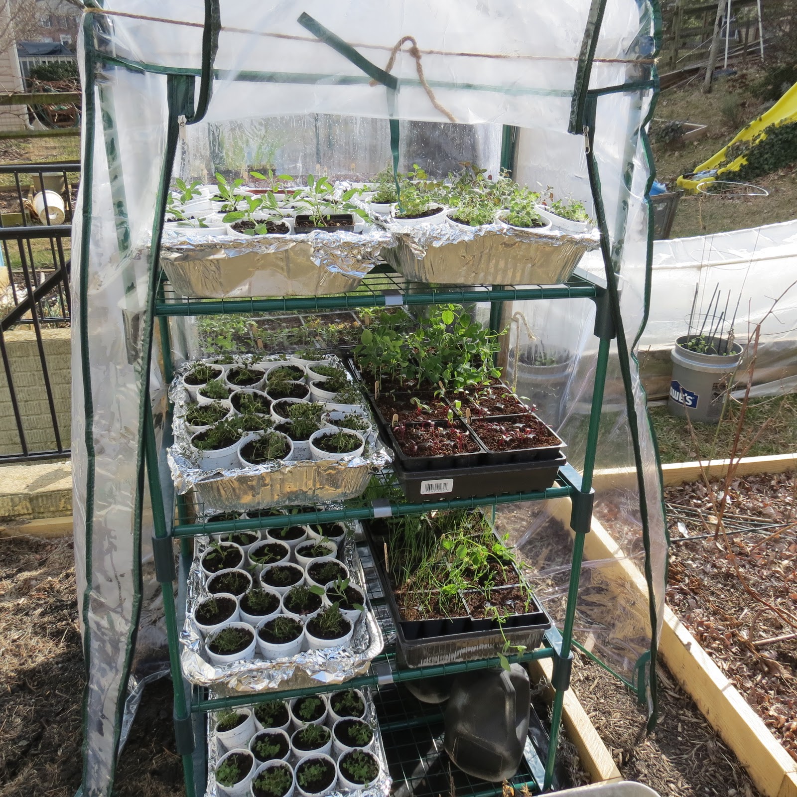 The Rusted Vegetable Garden