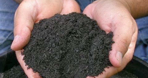 Compre el humus en línea!