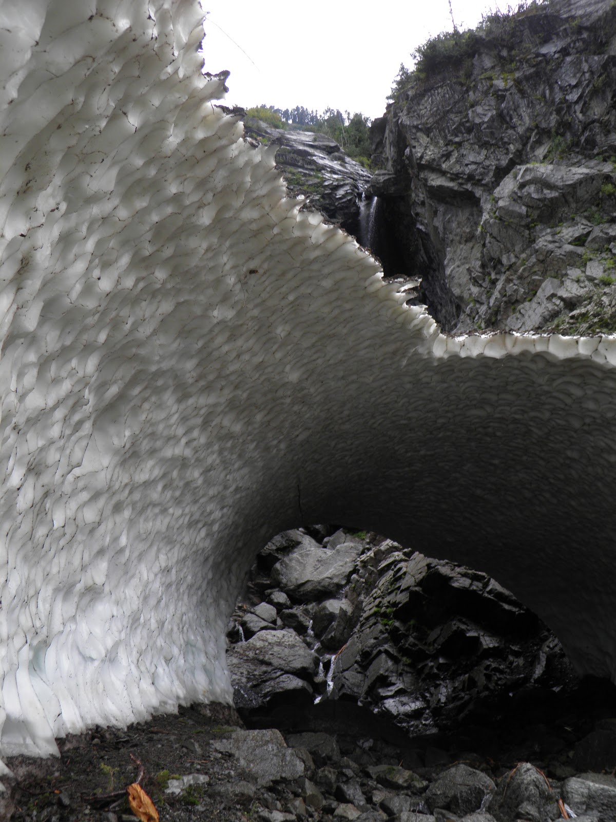 PacificNWCompanion: Big Four Ice Caves post Dickerman Mtn hike.