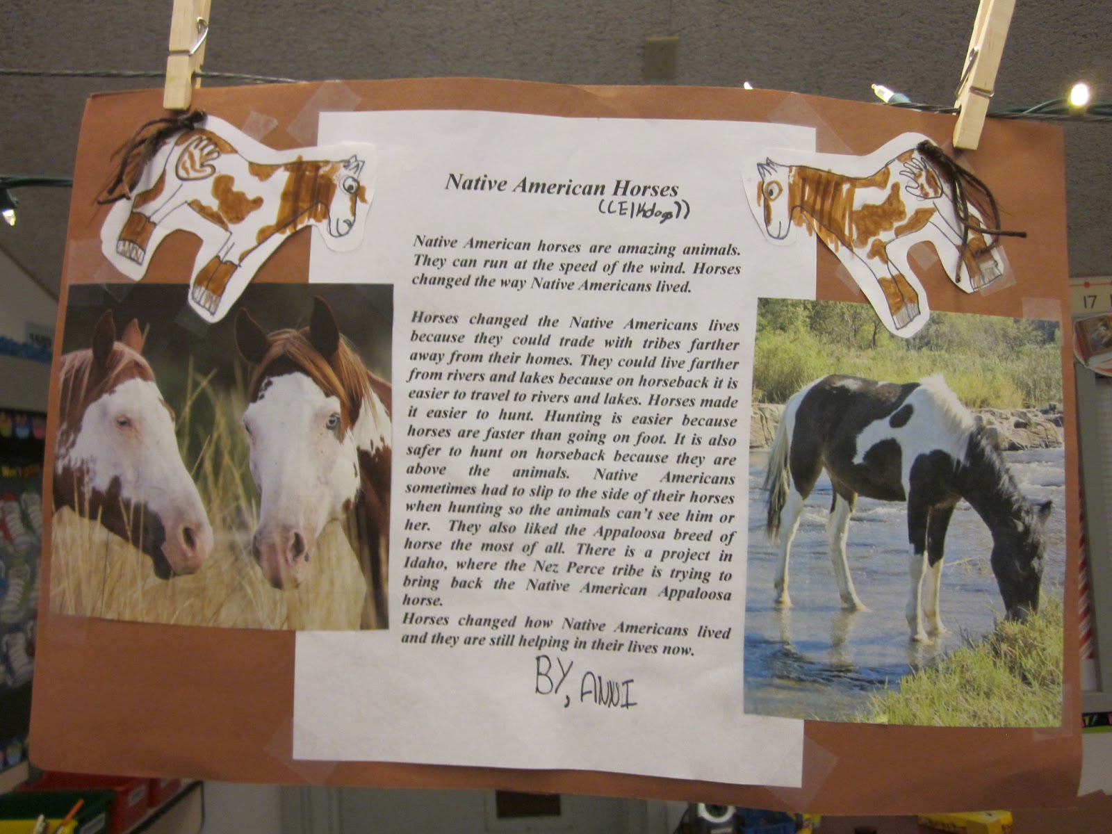 Mrs. Dufort's 3rd Grade Class: Native American Report Examples