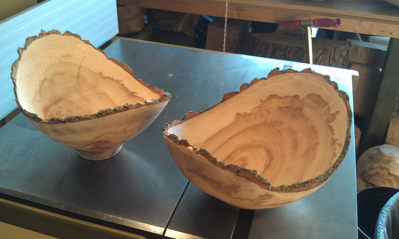 The Urban Turner: Flame Box Elder- Excellent maple cousin....