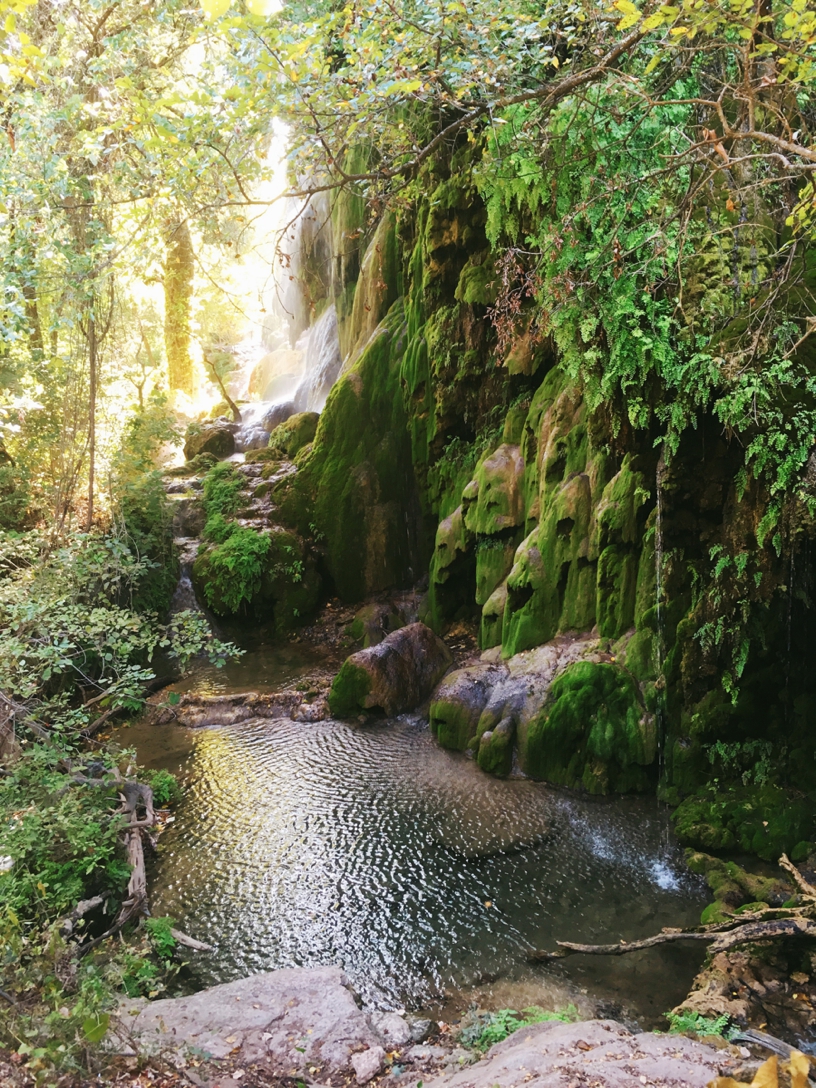 Hill Country Housewife: Gorman Falls | Colorado Bend State Park