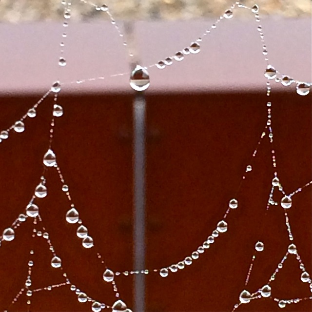 Rustnstuff: Shrouded moon, rust and rain