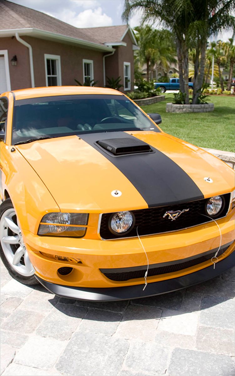 Q8 MUSTANG: Celebrity Mustang Owners ::: مشاهير يمتلكون الموستنج