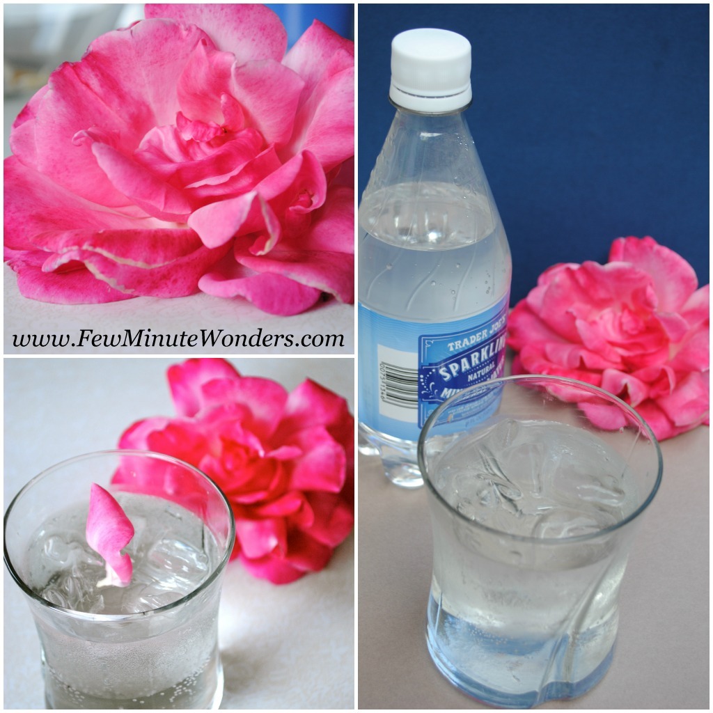 Paneer Soda: A Recipe From A Follower G.S.K - Few Minute Wonders