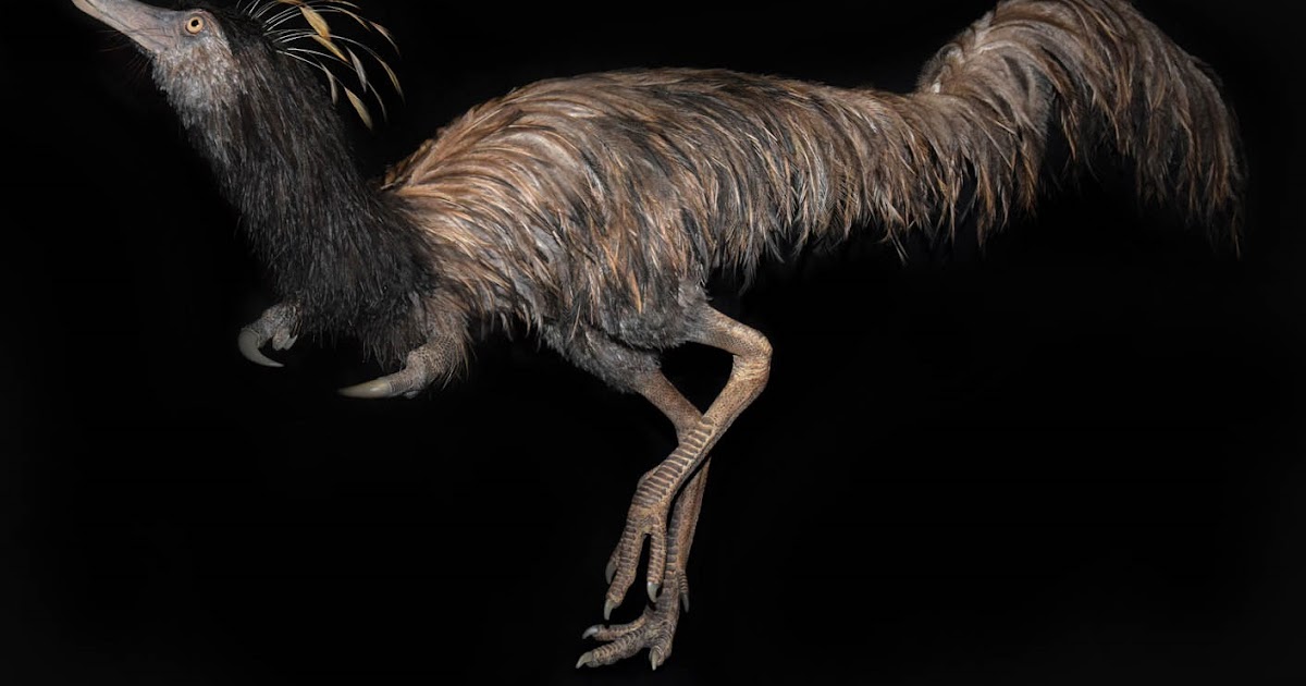 Species New to Science: [Paleontology • 2020] Trierarchuncus ...