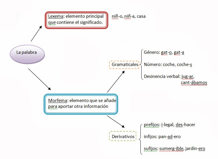 Repasamos la estructura de las palabras | La lengua de las mariposas