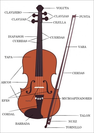 MUSICAL GÁLDAR: Partes del Violín