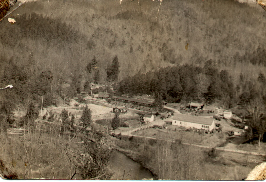 Til the Last Hemlock Dies: Mortimer