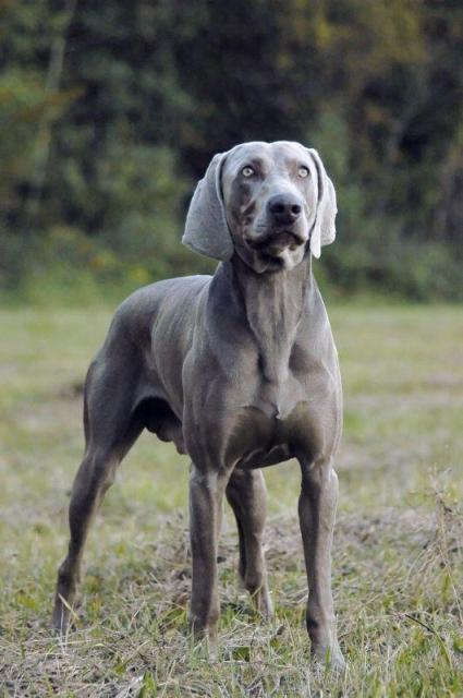 The Bachelor Season 16 | NeoGAF