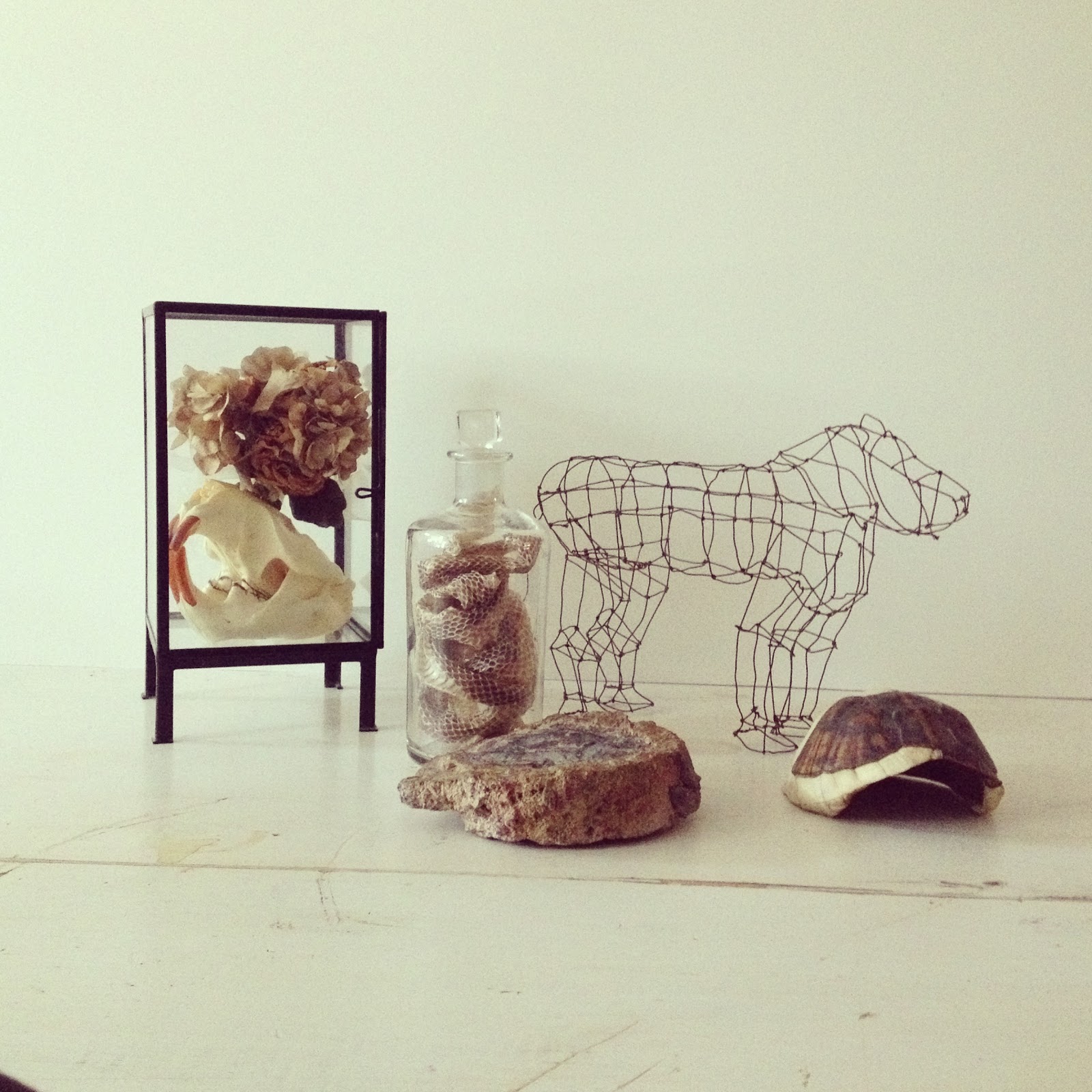 Tiptoethrough: Skulls, snake skins and a wire sculpture- adding more ...