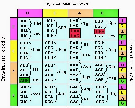 P-18 El código genético está compuesto de ... - Banco de Preguntas de ...