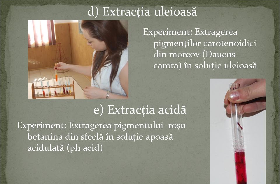 Despre biologie: Extractia uleioasa si acida a pigmentilor